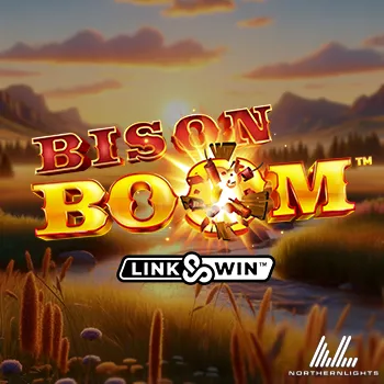 Bison Boom v92